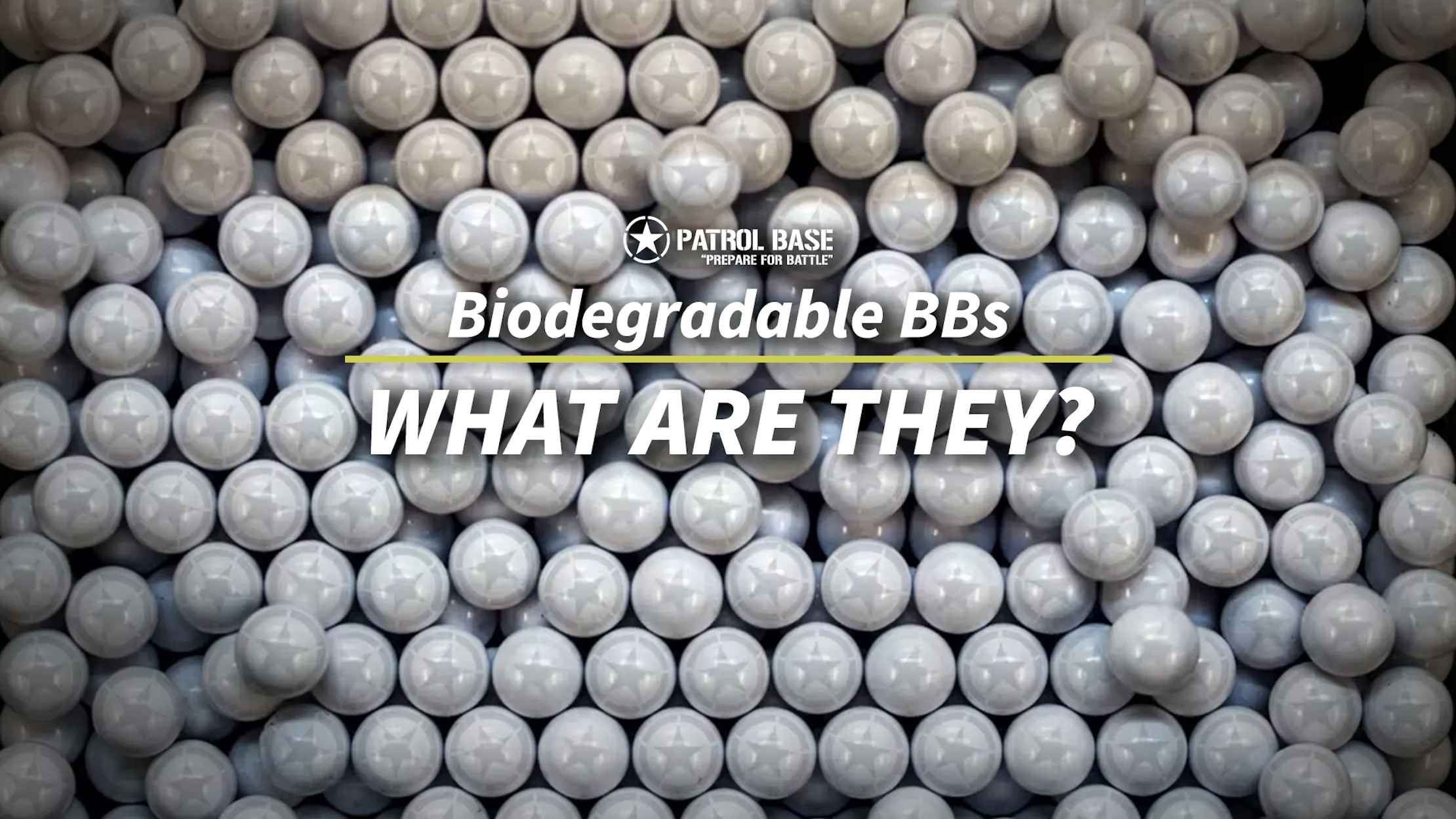 What are Bio BBs?